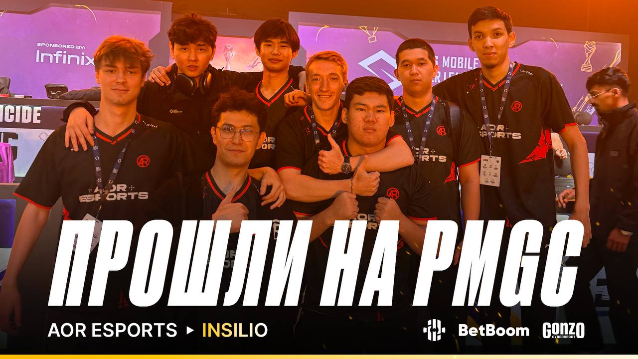 INSILIO at the LAN: An Interview